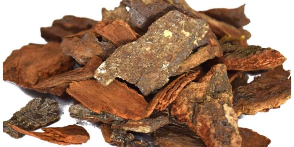 What is Arjun bark, its tea is very beneficial for health, know how to ...